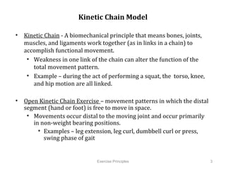 EXERCISE PRINCIPLES | PDF