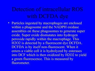 Detection of production of reactive oxygen | PPT