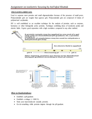 ames test by asif iqbal | DOCX