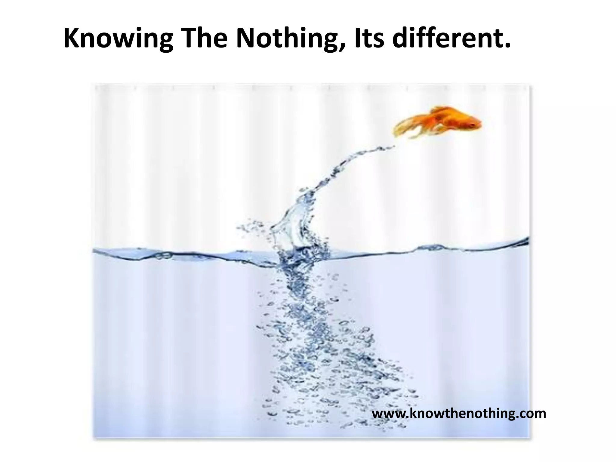 Know The Nothing Cartoons | PPTX