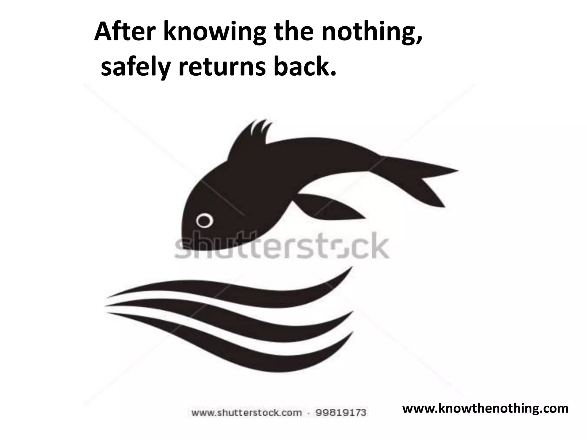 Know The Nothing Cartoons | PPTX