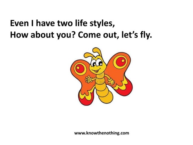 Know The Nothing Cartoons | PPTX