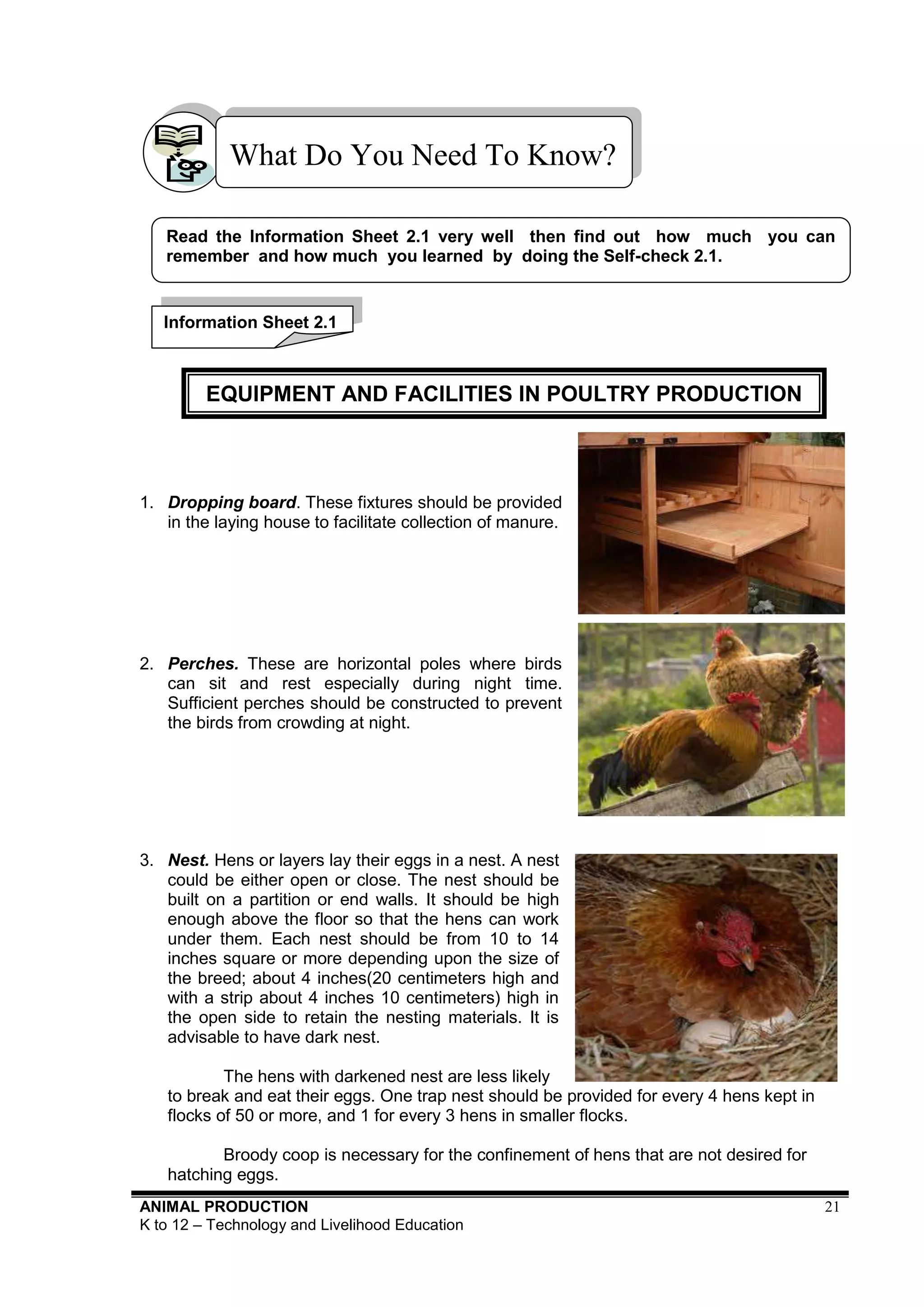 K to 12 animal production learning module | PDF | Birds | Pets