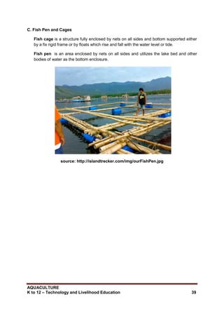 K to 12 aquaculture learning module | PDF