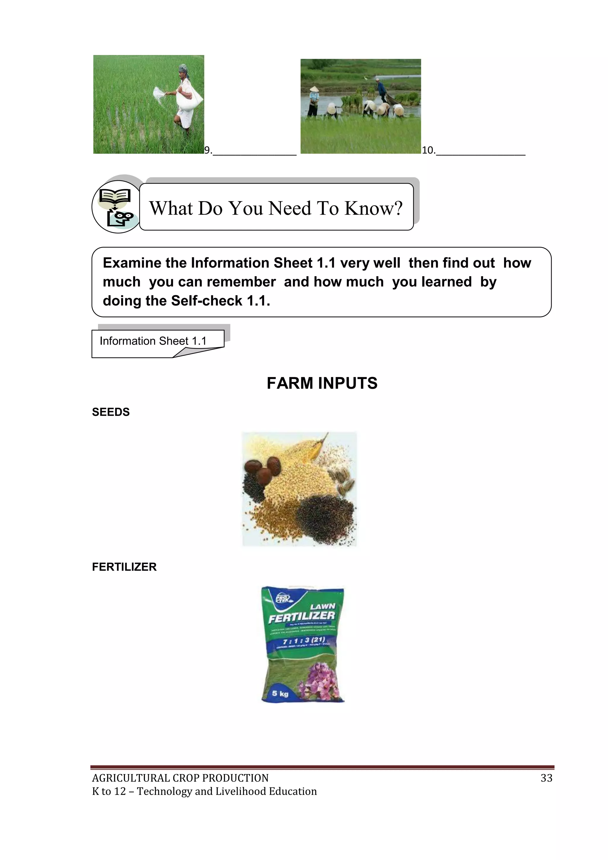 K to 12 Crop Production Learning Modules | PDF