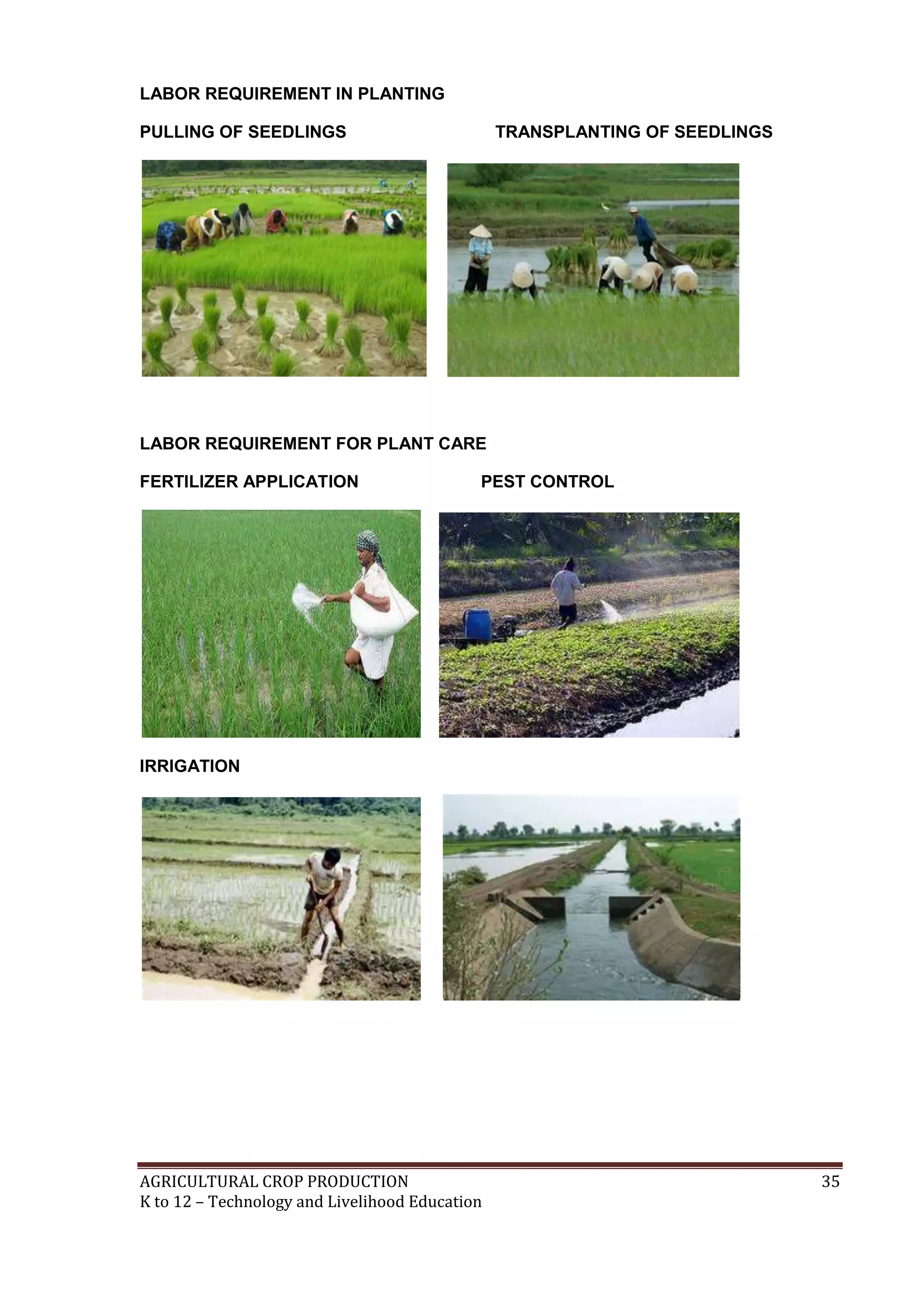 K to 12 Crop Production Learning Modules | PDF