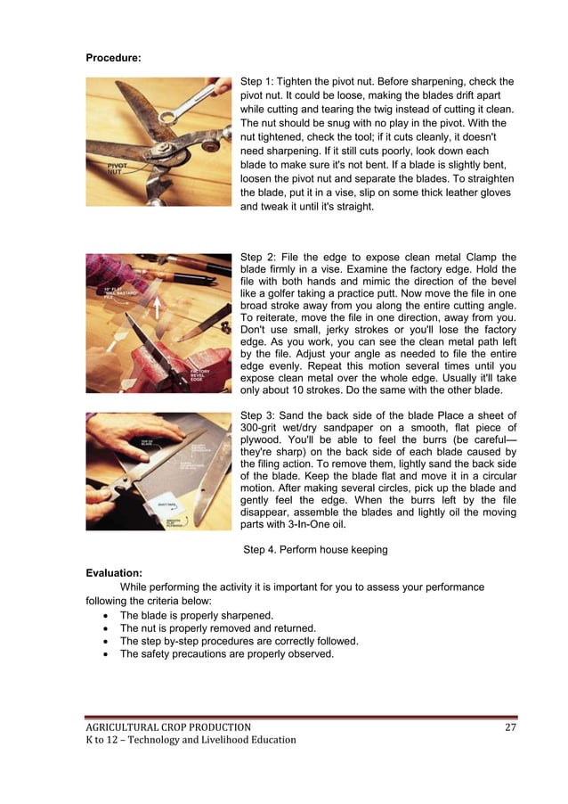 K to 12 Crop Production Learning Modules | PDF