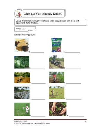 K to 12 horticulture learning module | PDF