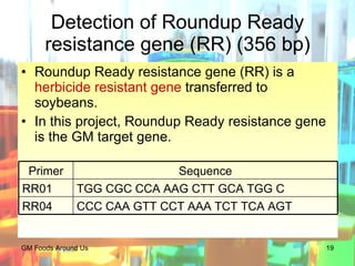 Kts Gm Foods Around Us | PPT