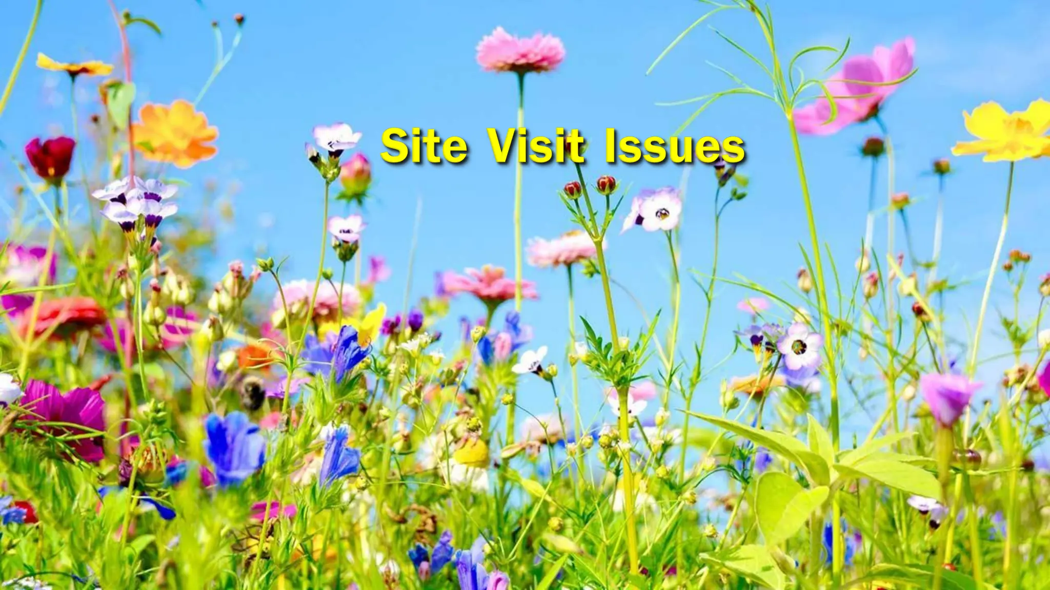 การเขียน KTs & SVIs (ฉบับปรับปรุงใหม่) KTs & SVIs Revised Version.pdf