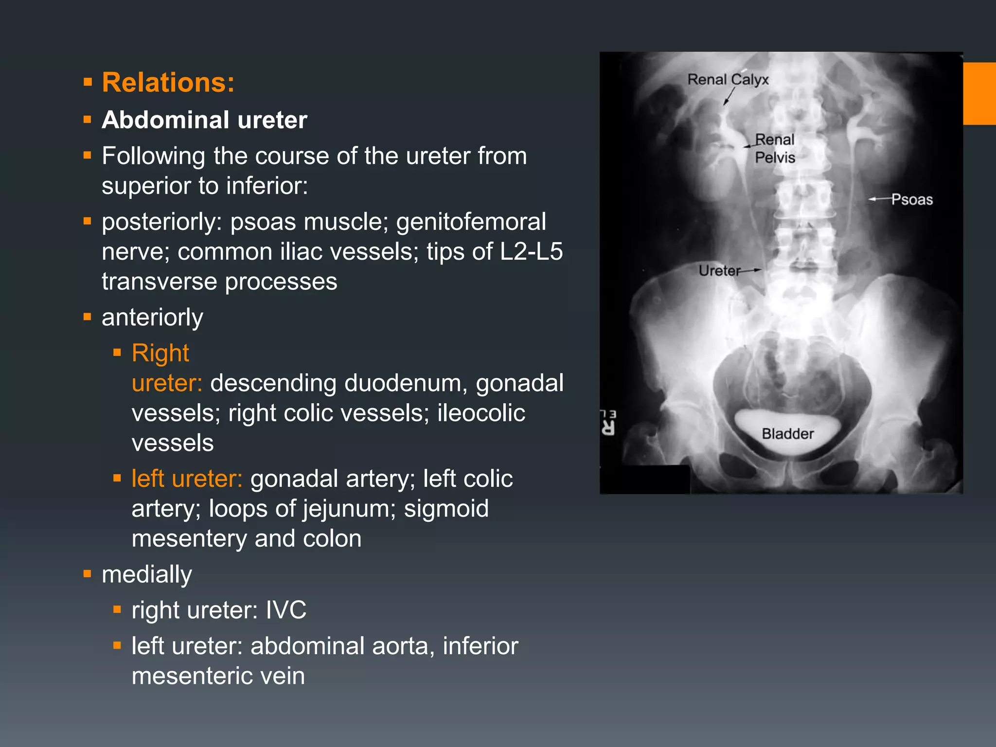 Kub - xray and usg | PPTX