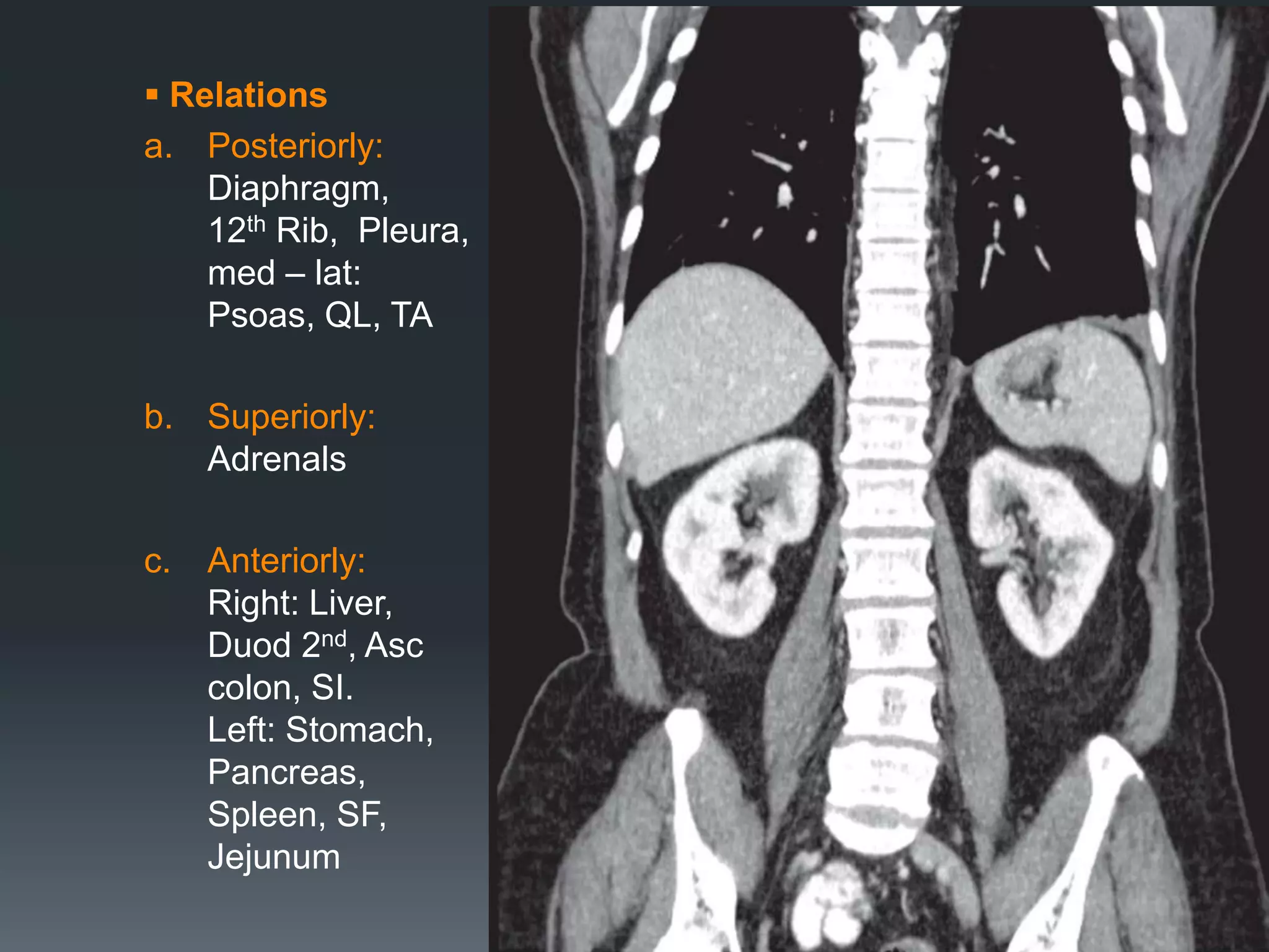 Kub - xray and usg | PPTX