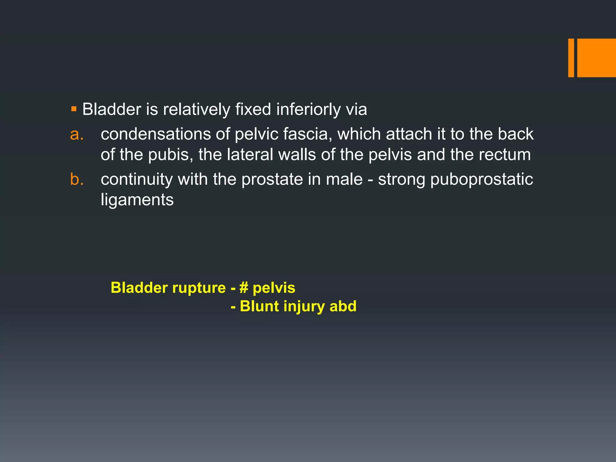 Kub - xray and usg | PPTX