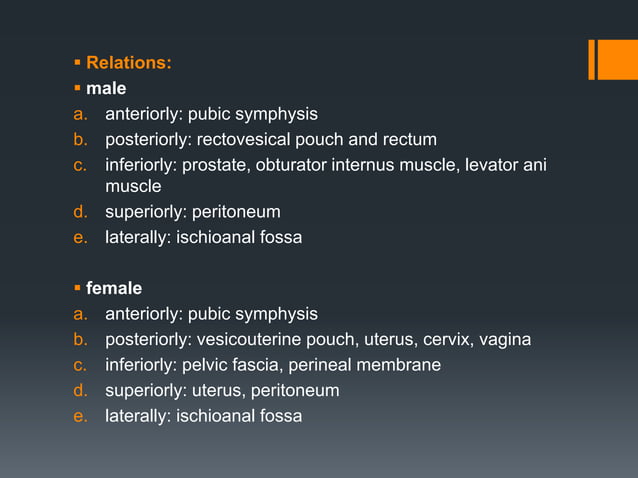 Kub - xray and usg | PPTX