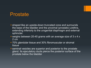 Kub - xray and usg | PPTX