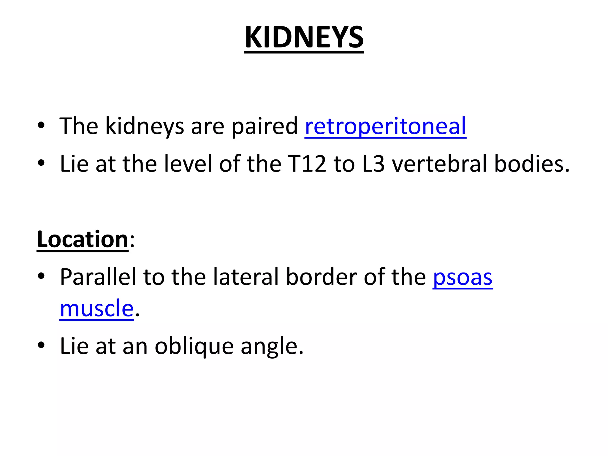 Kub anatomy | PPTX