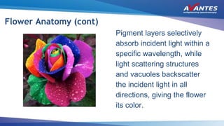 Kubelka munk absorbing layer stack theory | PPTX