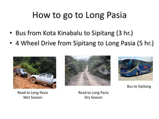 Kuching | Jan-15 | Rural electrification using solar- hydro energy- a ...