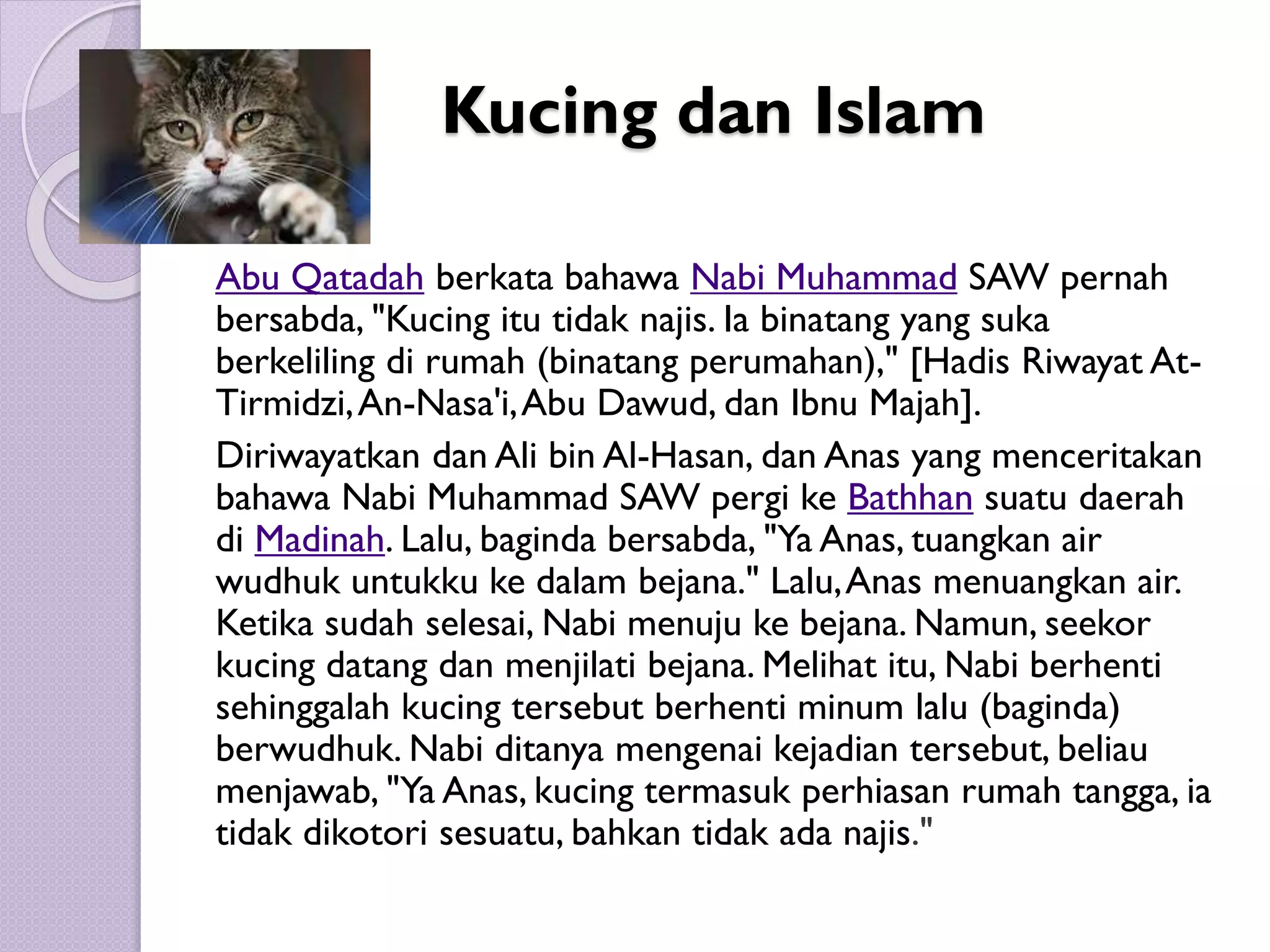 Kucing | PPTX