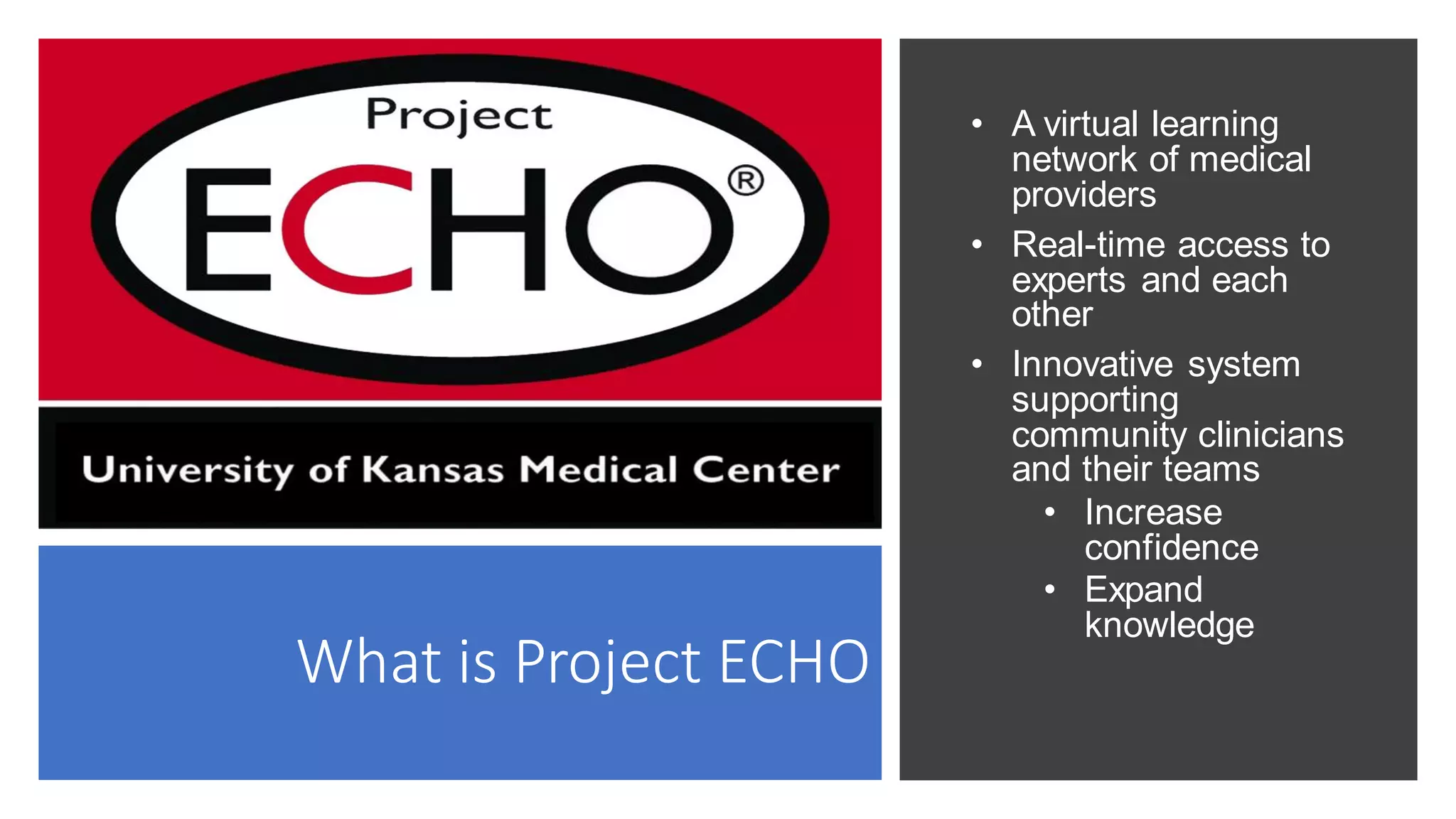 Project ECHO Presentation - HIT May 2023 | PDF