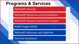 Project ECHO Presentation - HIT May 2023 | PDF