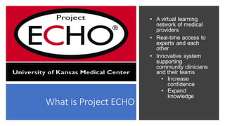 Project ECHO Presentation - HIT May 2023 | PDF