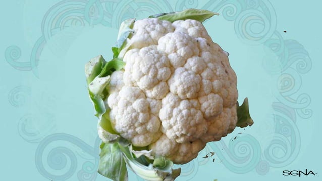 Kudos To You: Learning your Kudo Pit Patterns and Paris Polyp ...