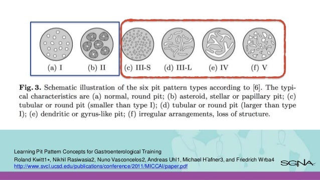 Kudos To You: Learning your Kudo Pit Patterns and Paris Polyp Classif…