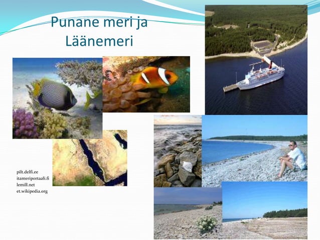 Kuidas Iseloomustada Maailmamerd | PPT