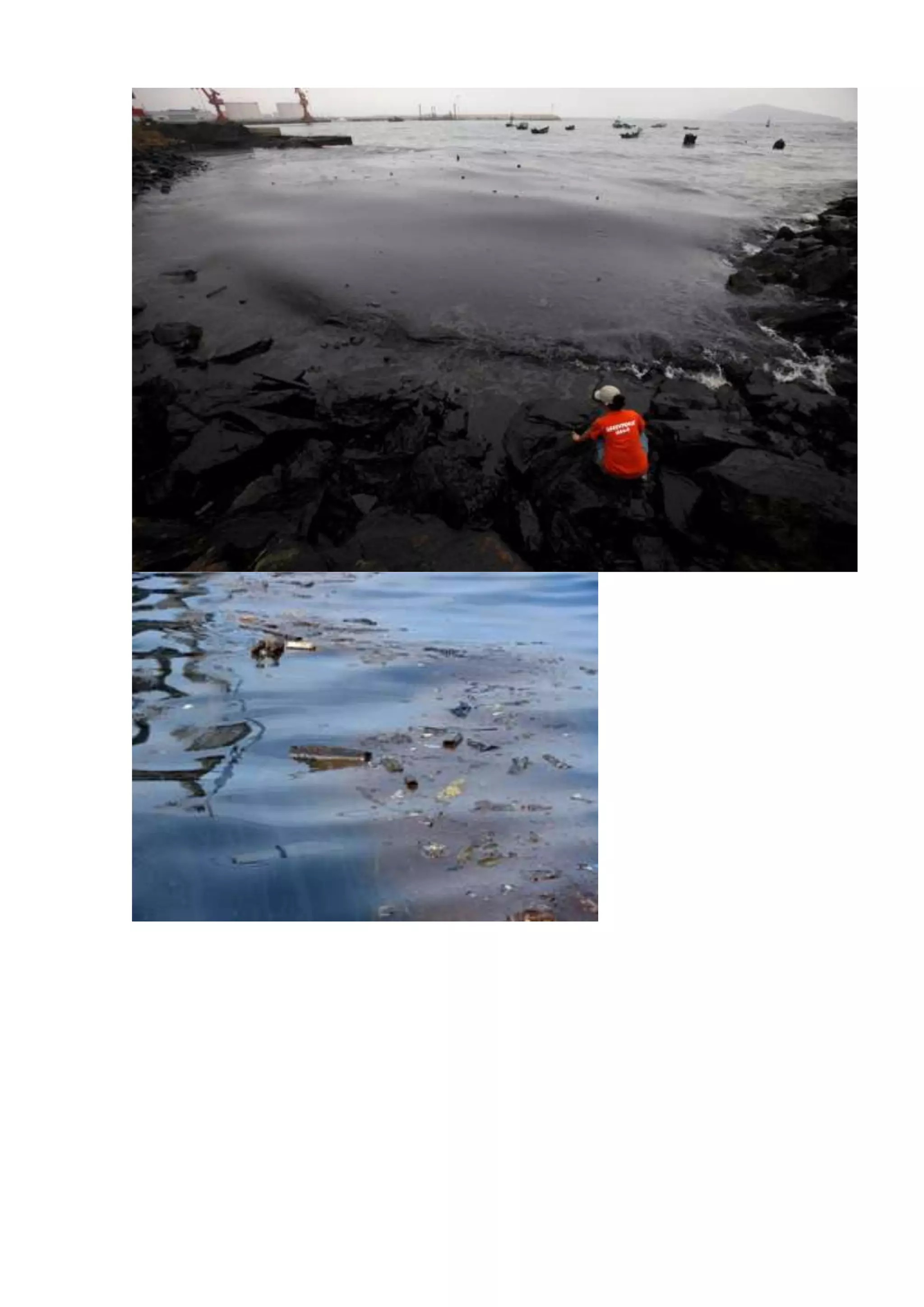 Kuidas inimene reostad loodust | DOCX