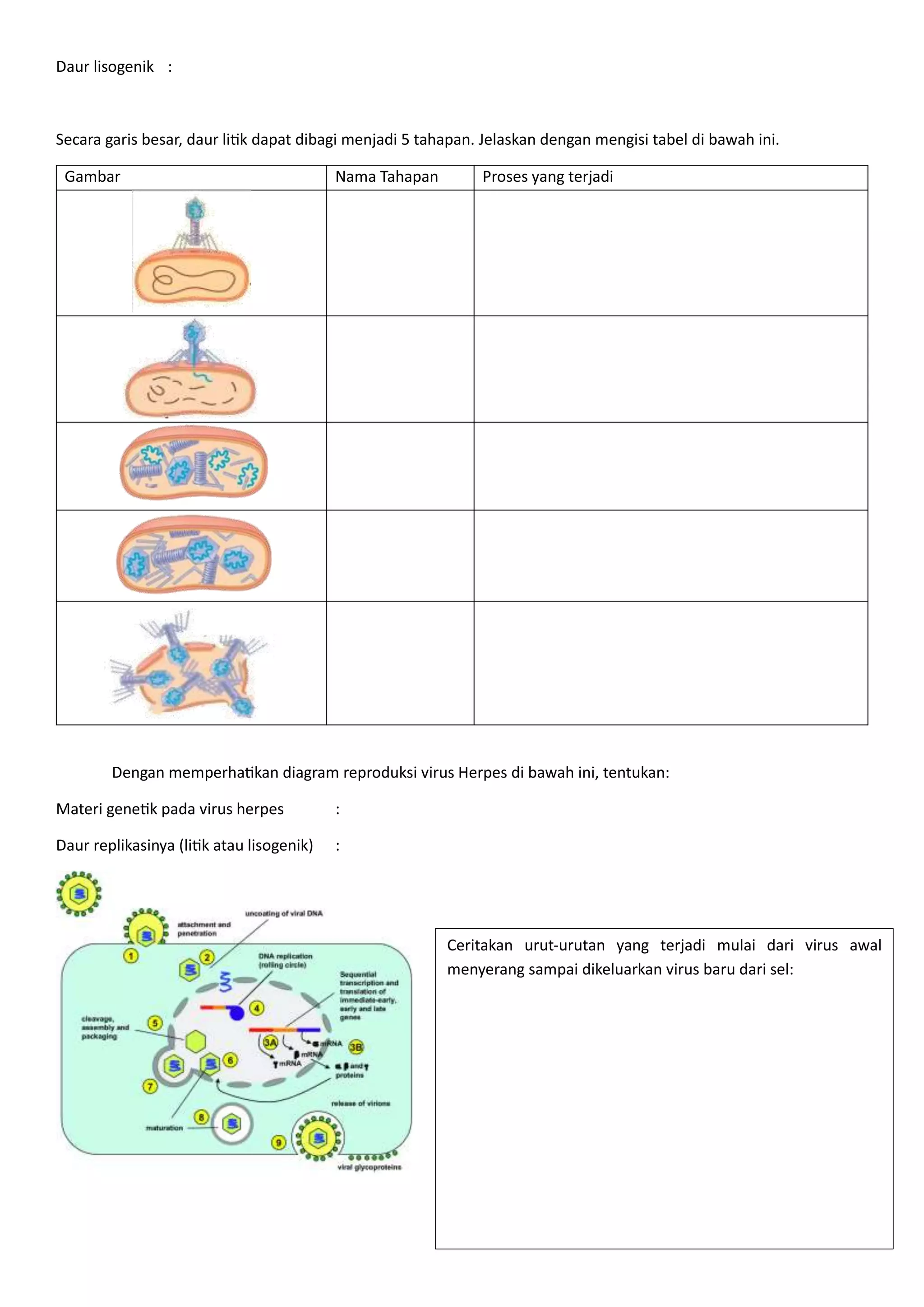 KUIS 1.docx