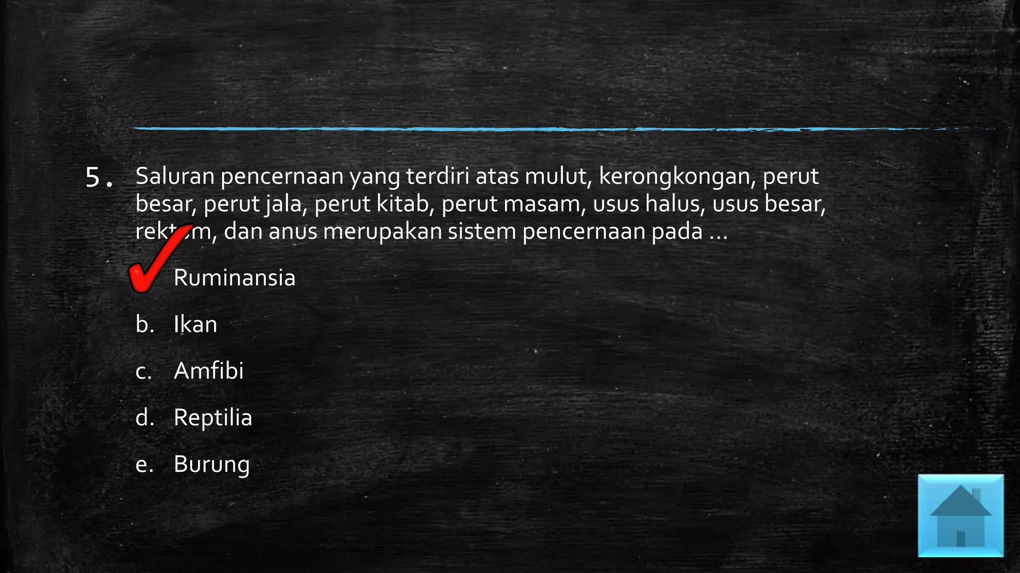 Kuis Biologi - Makanan dan Sistem Pencernaan | PPTX