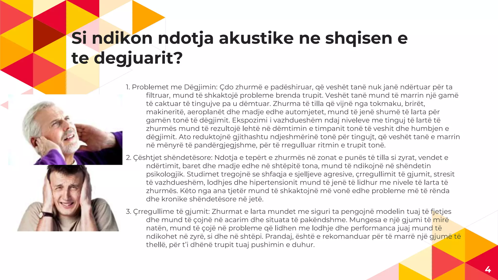 Kujdesi ndaj zhurmave | PPTX