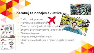 Kujdesi ndaj zhurmave | PPTX