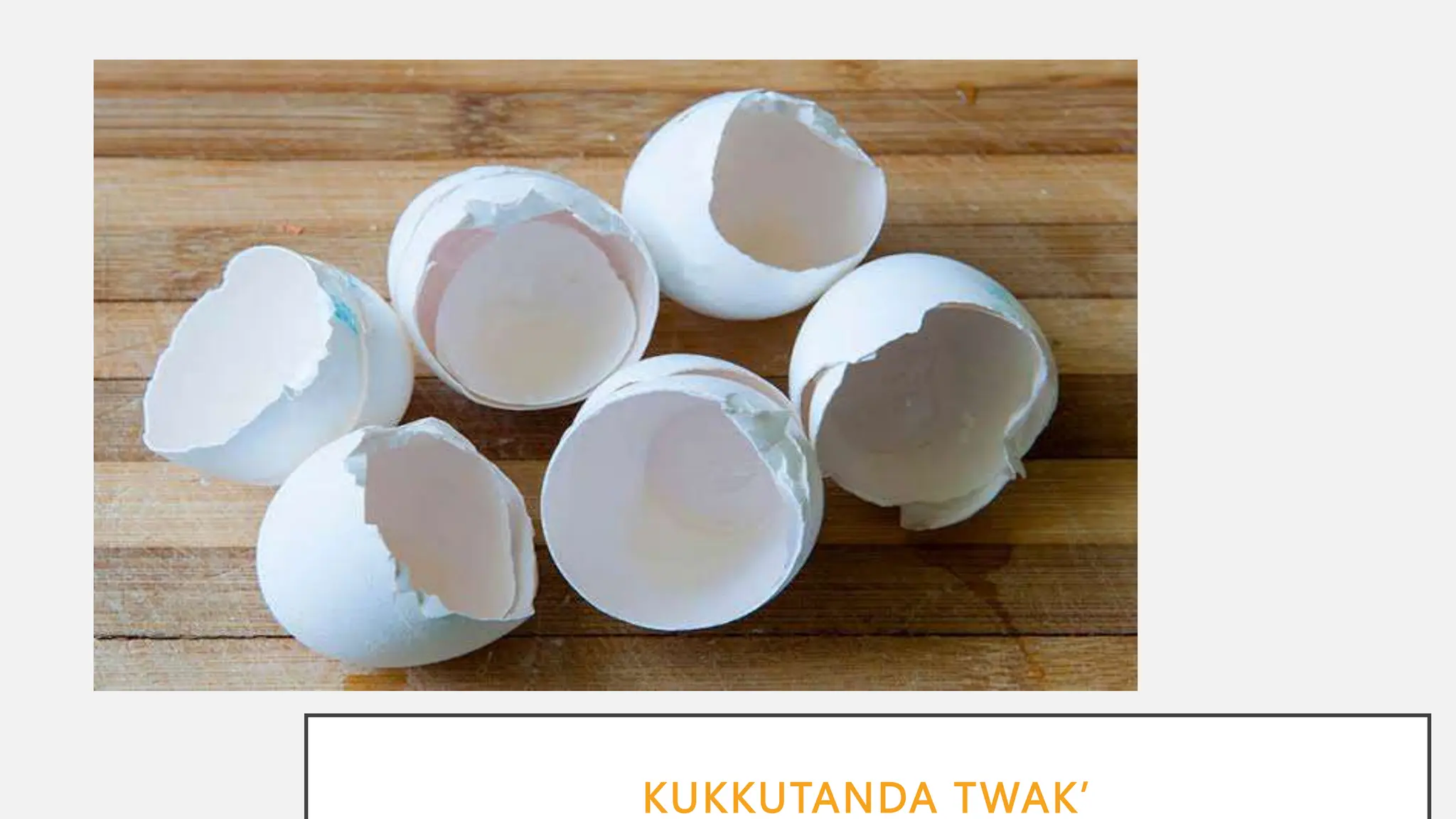 Kukkutanda Twak South.pptx rasa shasta vijnana | PPTX