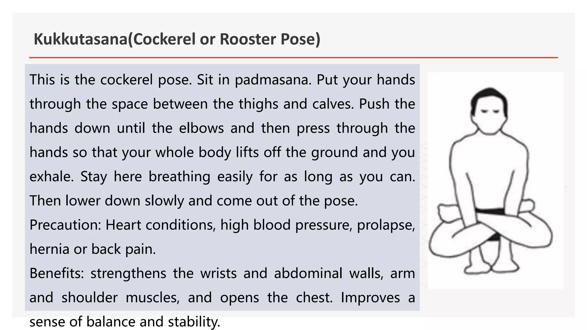 Kukkutasana(Cockerel or Rooster Pose) | PPTX