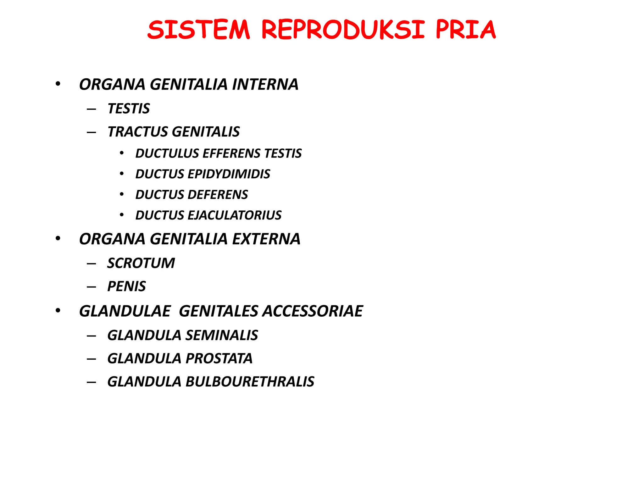 kul-histo-reprod-pria.pptx | Reproductive Health | Diseases and Conditions