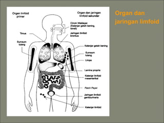 Kul 1. sistem kekebalan tubuh | PPT