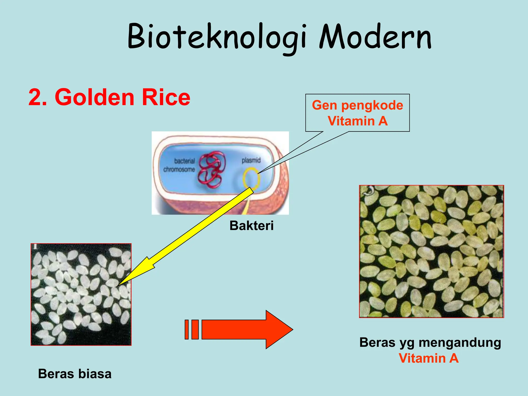 kul 1 biotek konvensional2hjbhjbjhbjkb.ppt