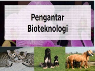kul 1 biotek konvensional2hjbhjbjhbjkb.ppt