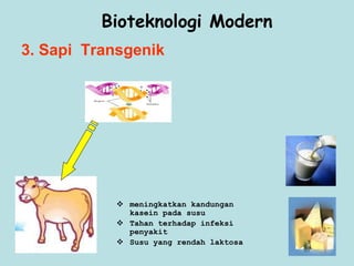 kul 1 biotek konvensional2hjbhjbjhbjkb.ppt