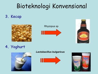 kul 1 biotek konvensional2hjbhjbjhbjkb.ppt