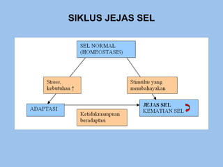Kuliah 2 Jejas Sel | PPT