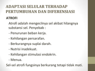 Kul 3. Morfologi jejas sel | PPT