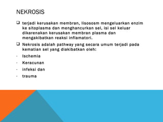 Kul 4. nekrosis dan kematian sel | PPT