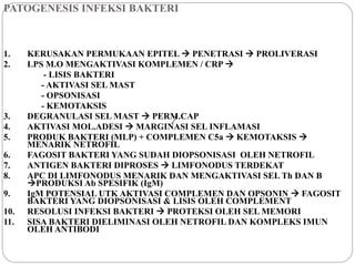 Kul 4. imunologi dasar dan implikasi klinis | PPTX
