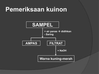 SKRINNING FITOKIMIA | PPT