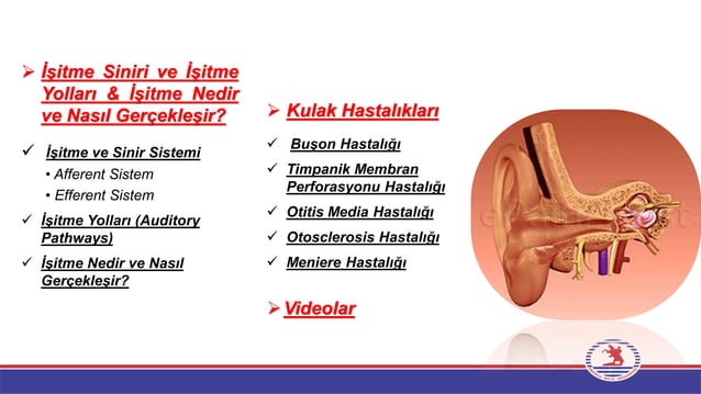 KULAK ANATOMİSİ ODY.pdf