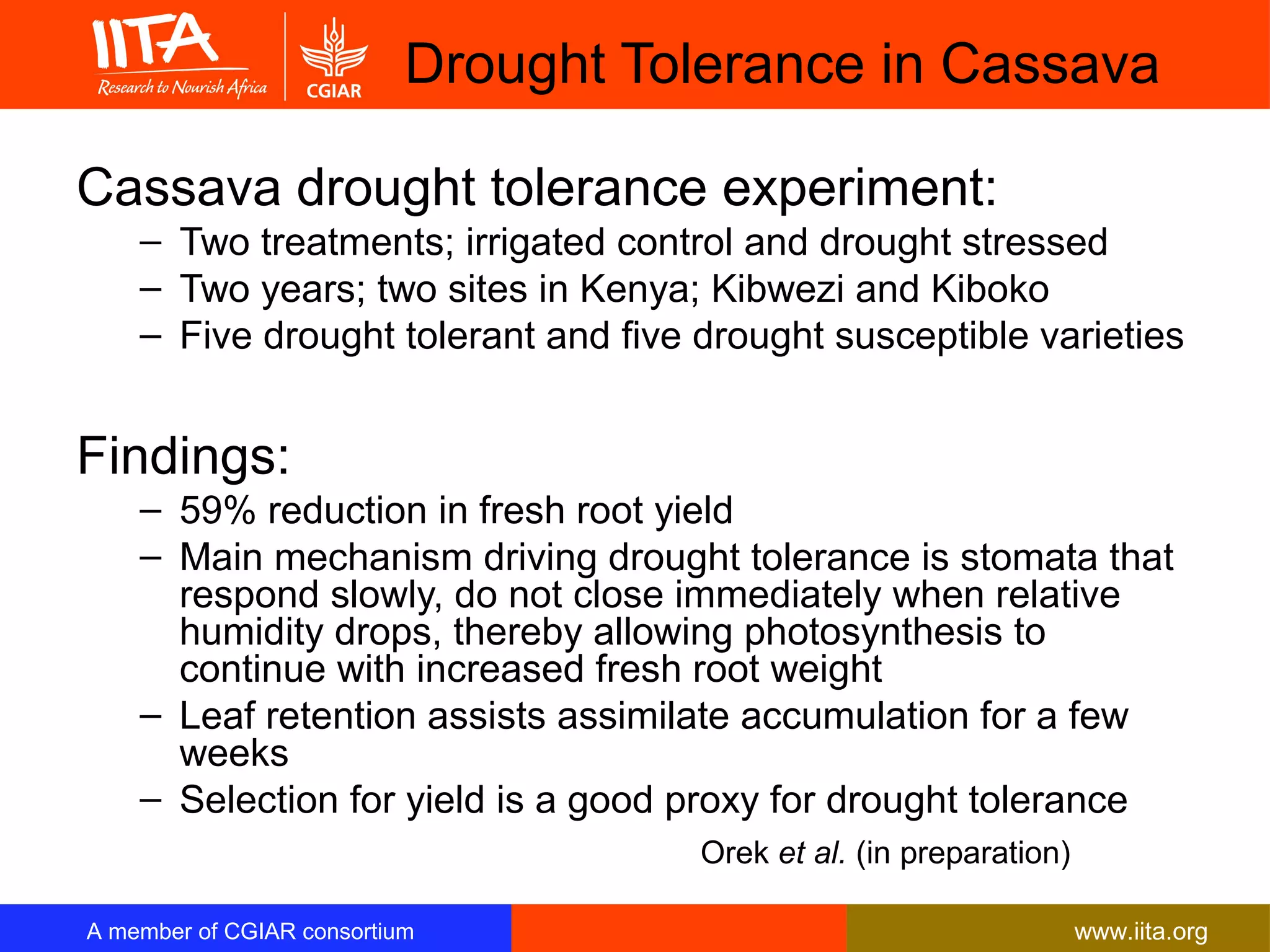 Strides in Building collaborations for cassava breeding | PPT