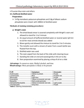 Clinical Pathology Laboratory Report by Kula Jilo 2016 | PDF